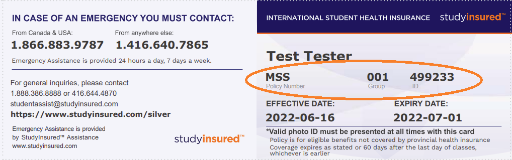 Health Services | Morcare